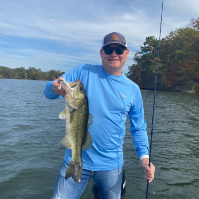 About Bridgemark Strategies